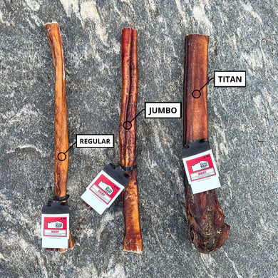 Estes Paw Co Regular 12" Beef Bully Stick – Dukes Delites