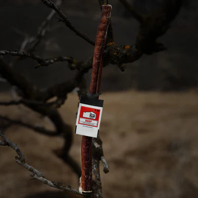 Estes Paw Co Regular 12" Beef Bully Stick – Dukes Delites